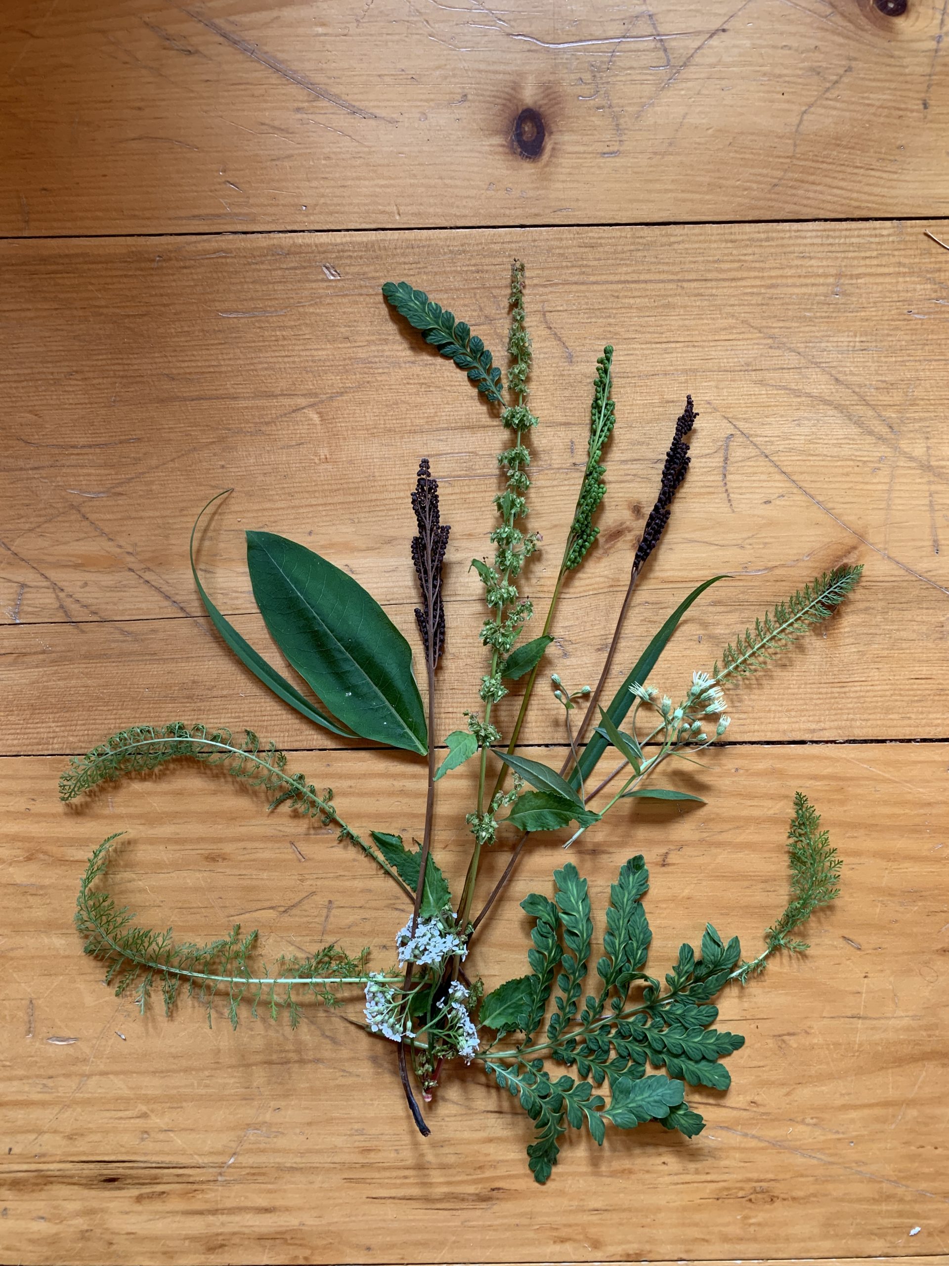 Cover Artwork Gallery – TATI